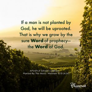 Planted By The Word – Phaneroo