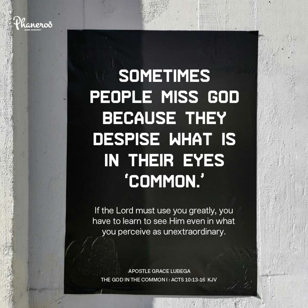 Phaneroo Devotion – Phaneroo