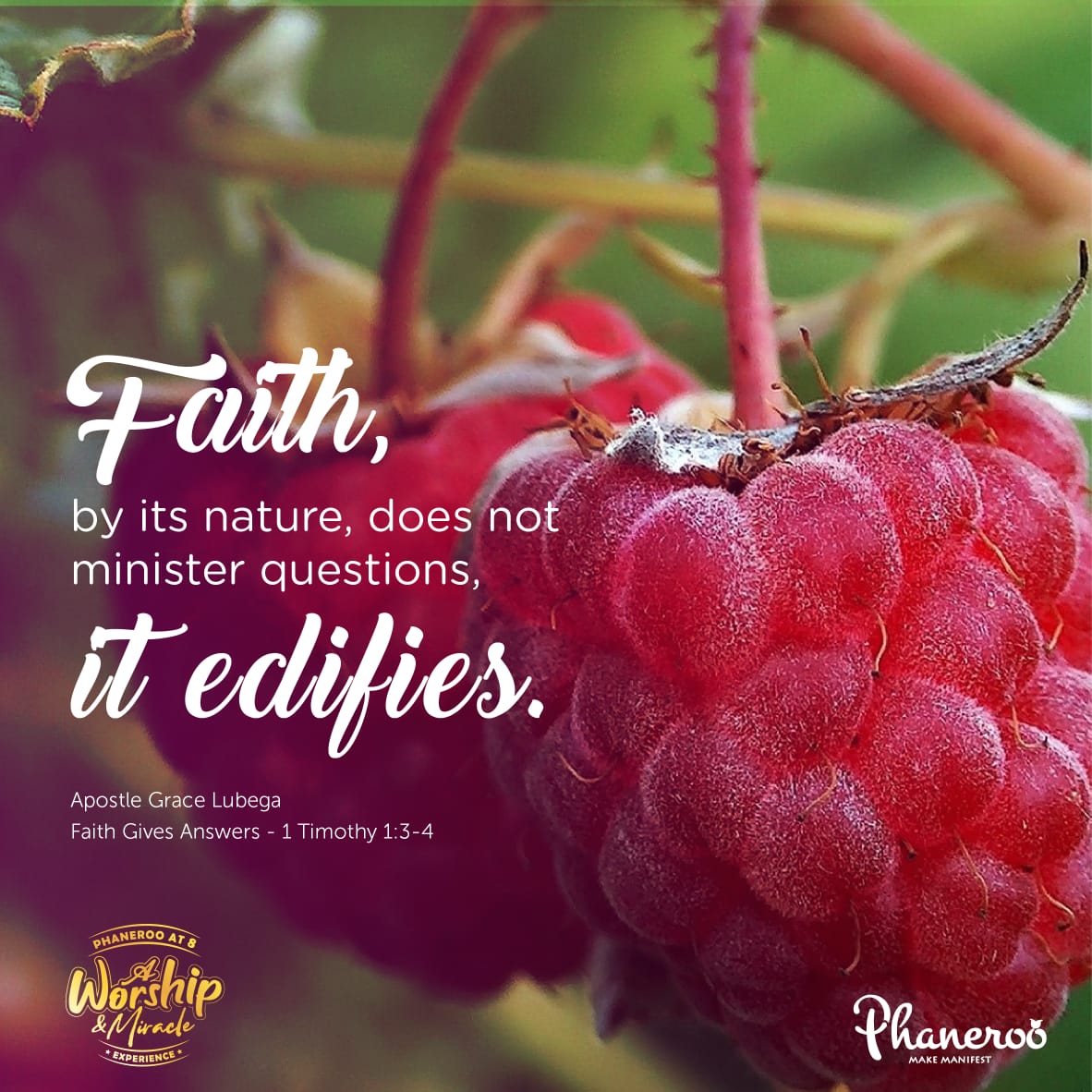 Phaneroo Devotion Archives - Phaneroo