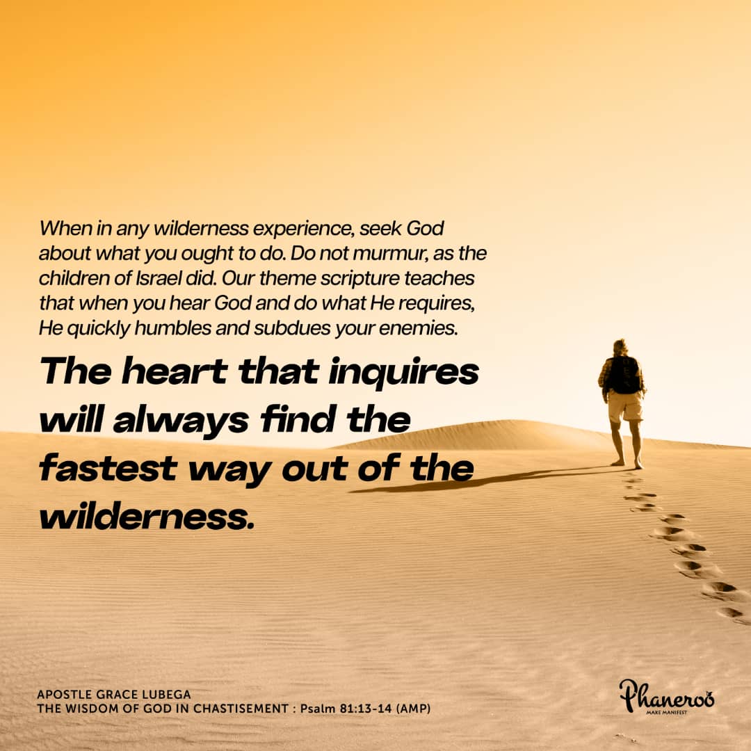 The Wisdom Of God In Chastisement - Phaneroo