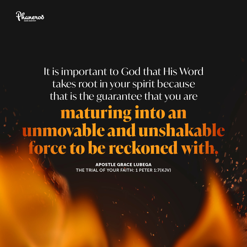 Phaneroo Devotion Phaneroo