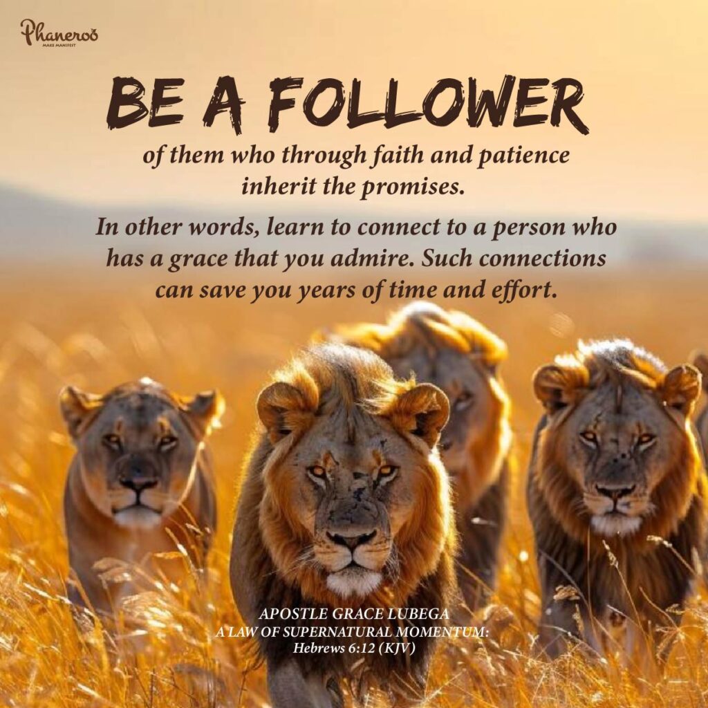 Phaneroo Devotion – Phaneroo